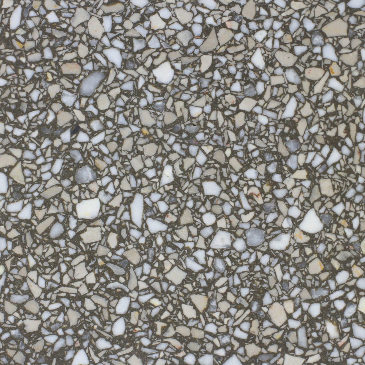 Terrazzo | Rosa Mosaic